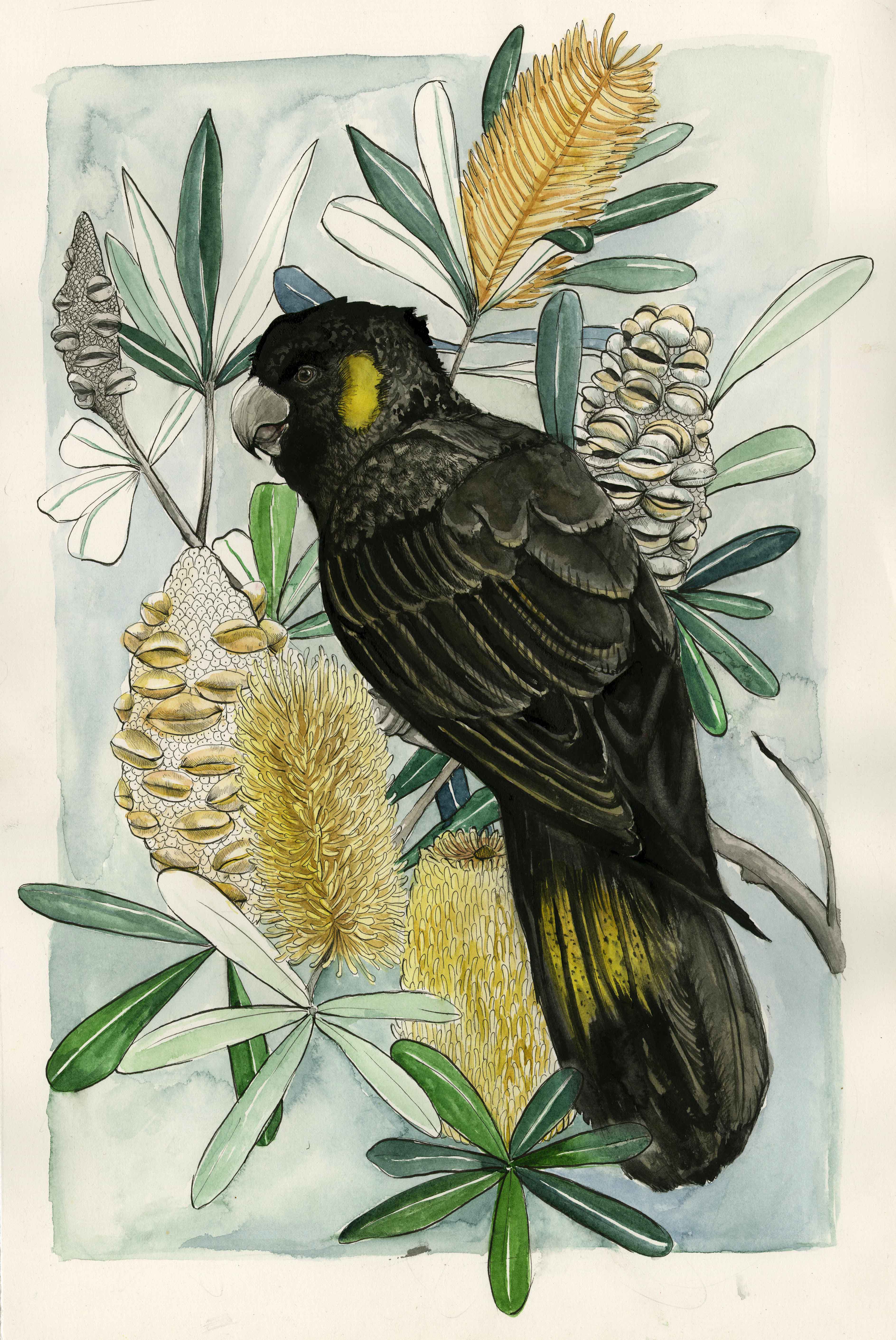 Guardian Original | Emma Morgan