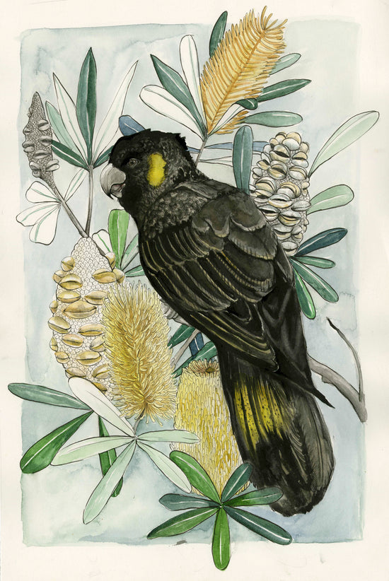 Guardian Original | Emma Morgan