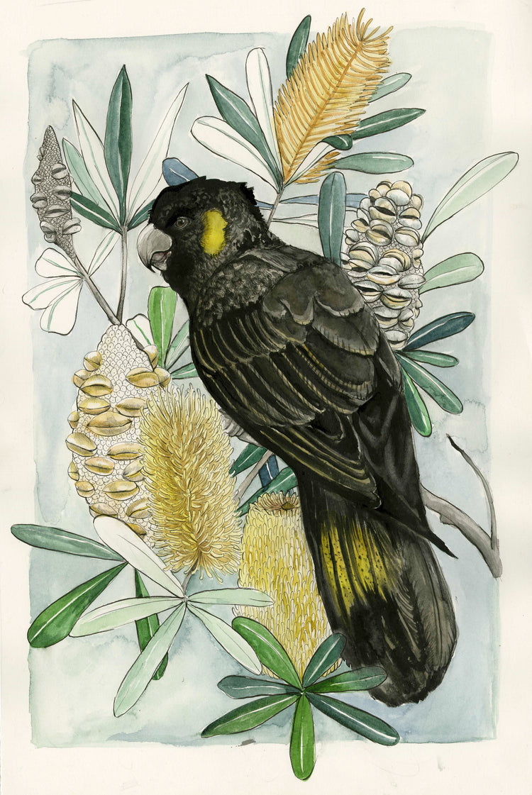 Guardian Original | Emma Morgan